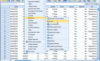 SPSS Statistics 24.0.0.0